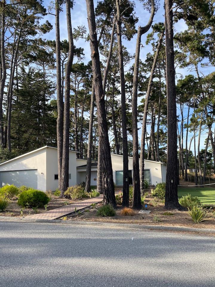 Contemporary In Pebble Beach - Carmel-by-the-Sea, CA
