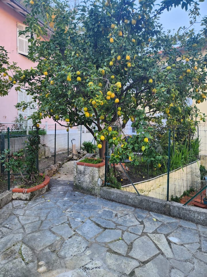 Appartement Avec Jardin "Le Citronnier" - Plage de Solenzara