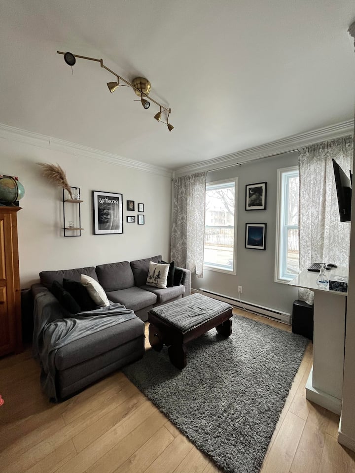 Ancestral Bright And Spacious Home In City Centre - Quebec