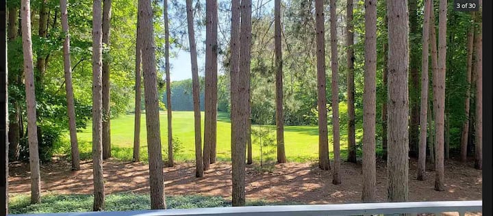 Golf And Ski Family Retreat - Mancelona, MI
