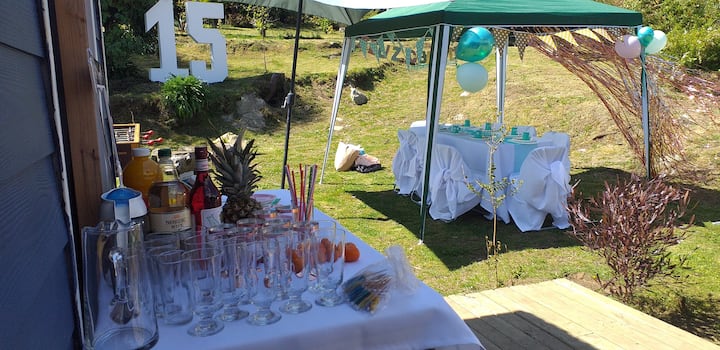 Casa Montaña Futrono - Futrono