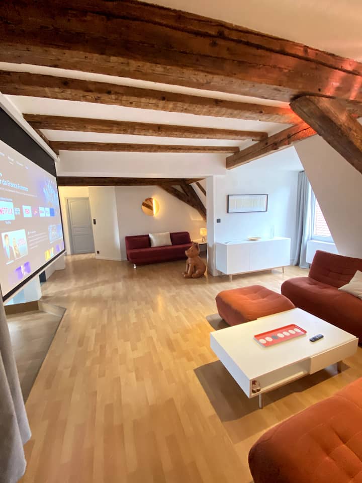 Le "Schongauer" En Hypercentre - Colmar