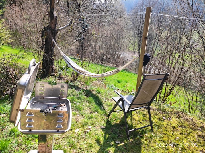Hütte An Einer Waldlichtung - Pöhl