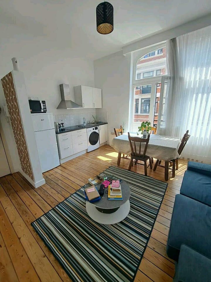 Jolie Appartement Symphatique. - Leuven