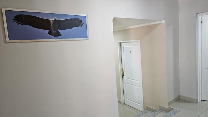 Apart 8, Condor Calafate. - El Calafate