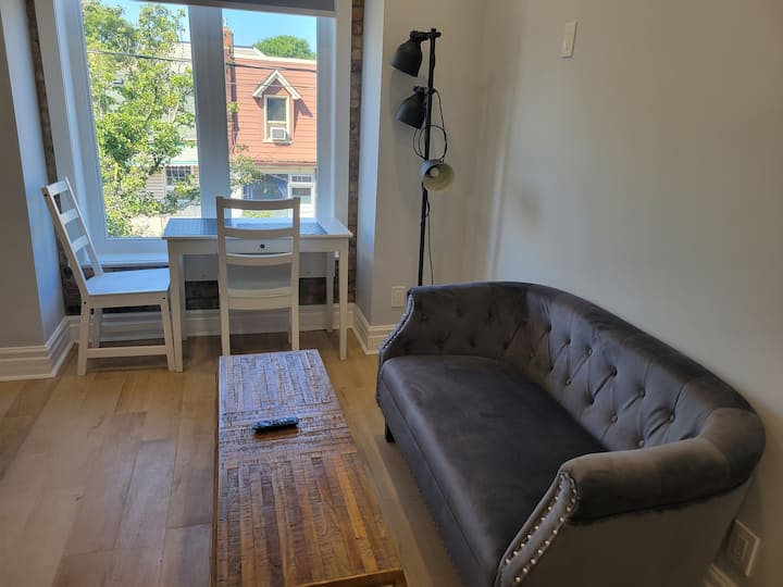 Brand New! Downtown! Bright Studio, Laundry,subway - Toronto