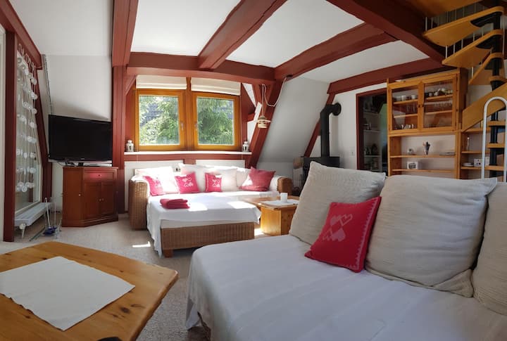 Rustikal Und Ruhig, Schwarzwald - Schramberg