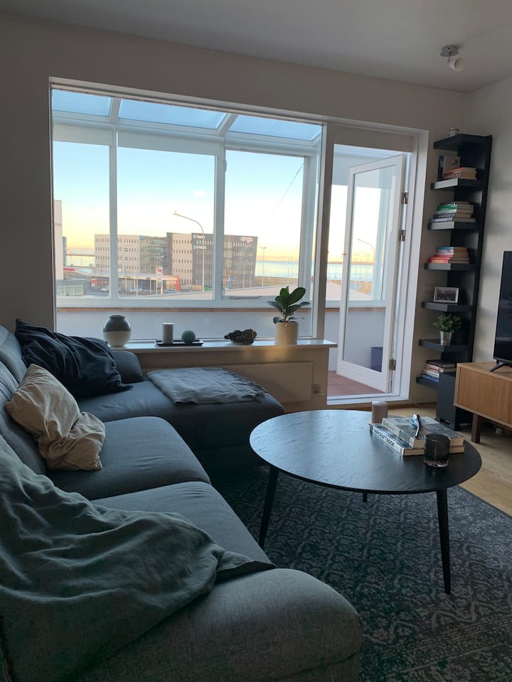 Top Floor With Ocean View Close To City Center - Reykjavík