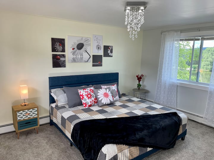 River Views! Private & Cozy! Free Laundry—parking - Binghamton, NY