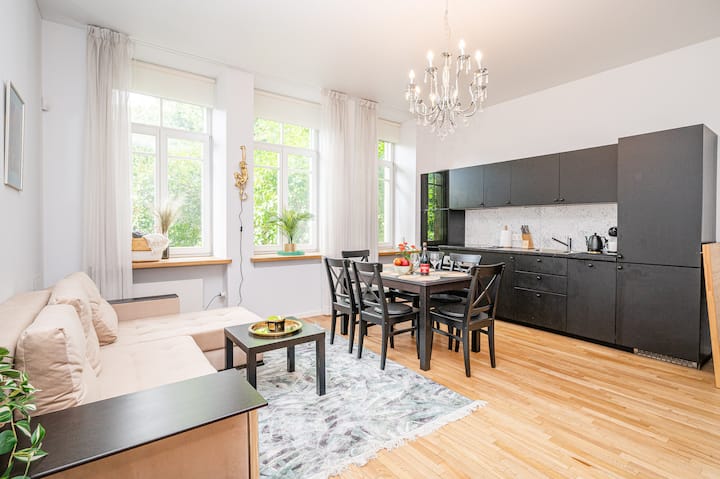 Premium City Center Lukiskiu Apartment - Vilnius
