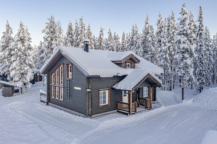 Moderni Hirsihuvila Pilvilintu - Lapland