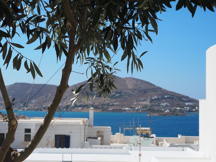 Ammi Majus 2-bd Apt A Few Minutes Away From Naousa - Paros