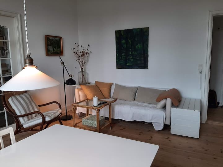 Lys Lejlighed Med Altan På Dejlige Vesterbro - Copenhague