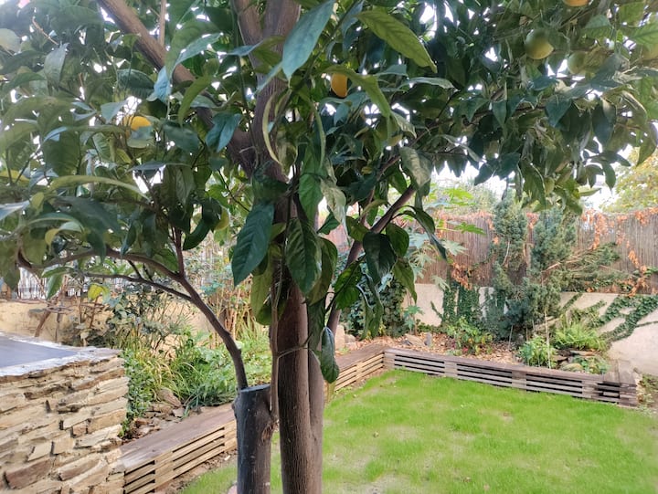 Les Papillons - Perpignan