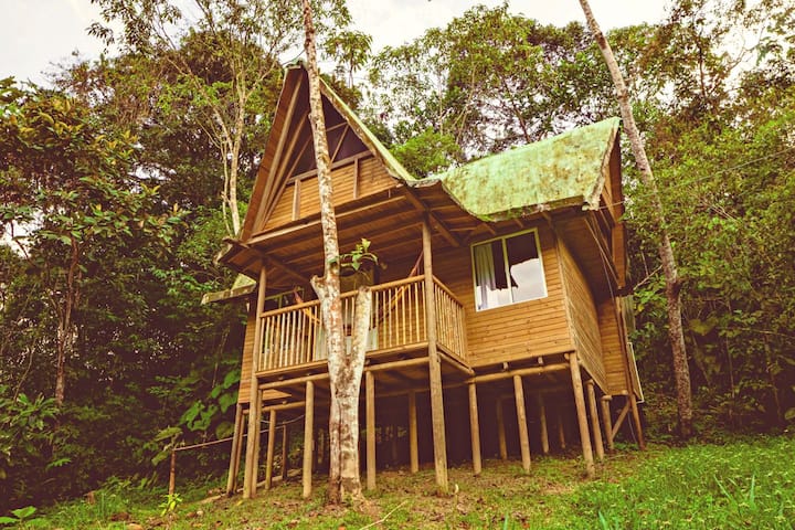 Los Sonidos Del Bosque - Reserva Zafra - San Carlos, Colombia