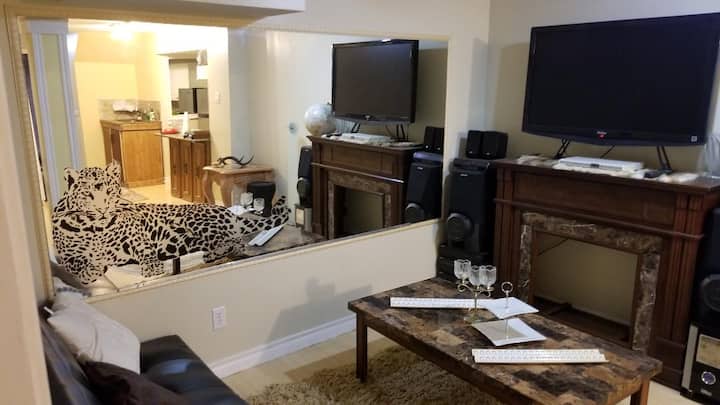 This Is A Clean,quite  Basement In Markham. - Markham