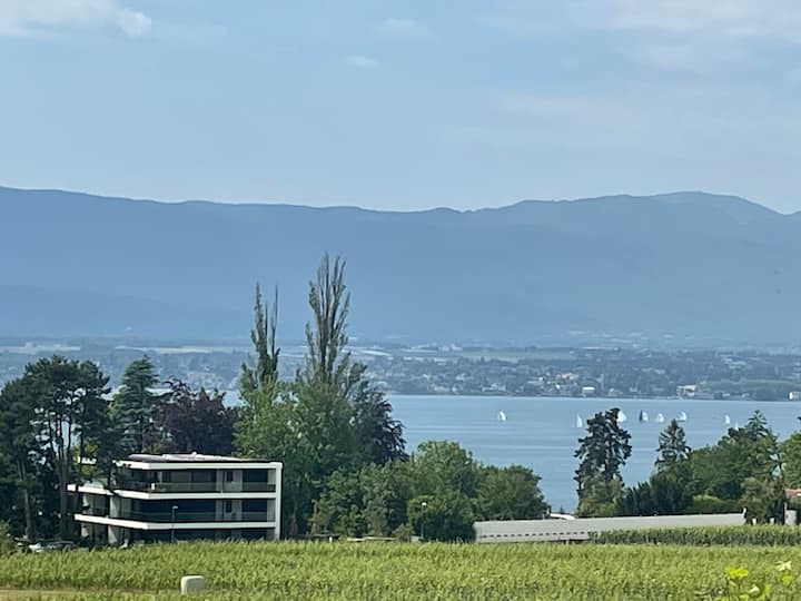Appartement Neuf Avec Jardin. - Douvaine