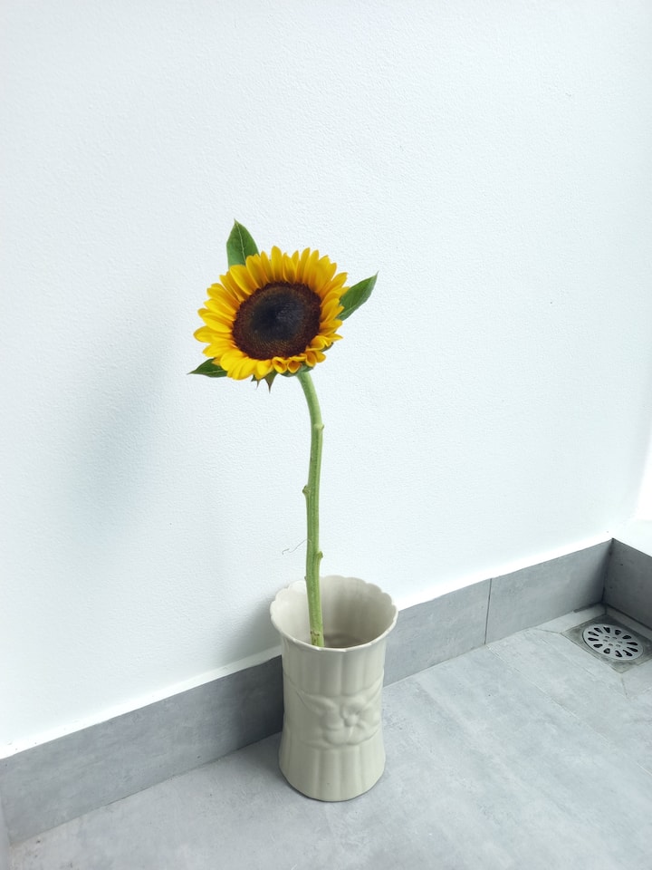 Bright Studio W/ Kitchen, Pool & Wifi – Near Mall - Chiang Mai