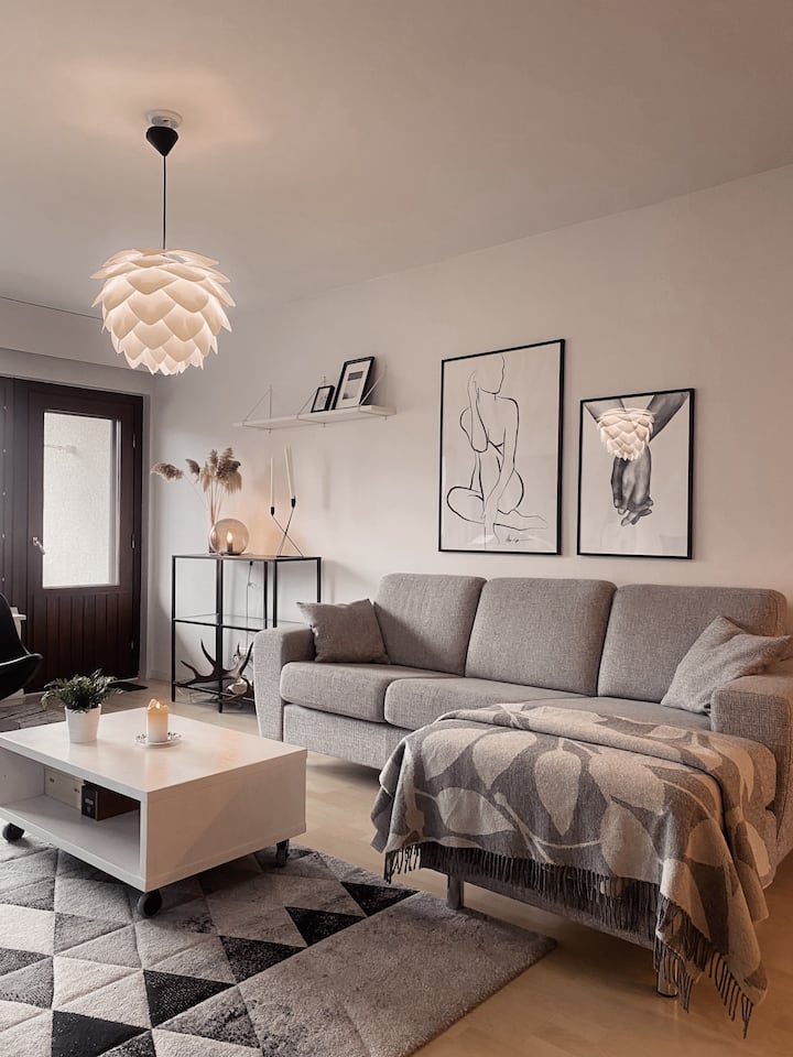 Aurora City Penthouse Loft - Rovaniemi