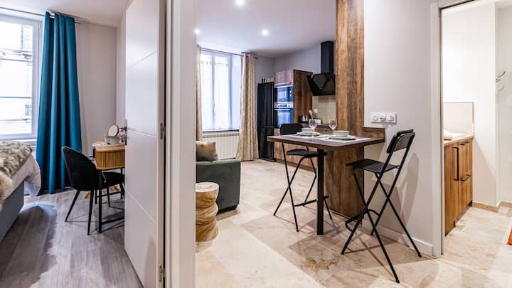 Aux Fleurs De Darcy : Confort/ Climatisation - Dijon