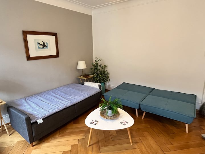Spacious, Bright & Central, Near Messe/baloise - Basel