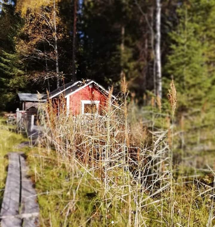 Purolan Sauna - Jyväskylä