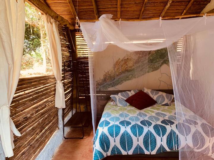 A La Orilla Del Bosque: Conexión Y Belleza - Palmar
