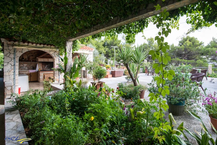 Vragic - Homely Atmosphere 4+0 - Bol