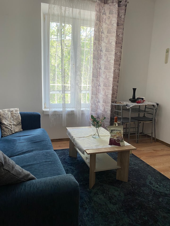 Уютен апартамент в тих квартал - Sofia