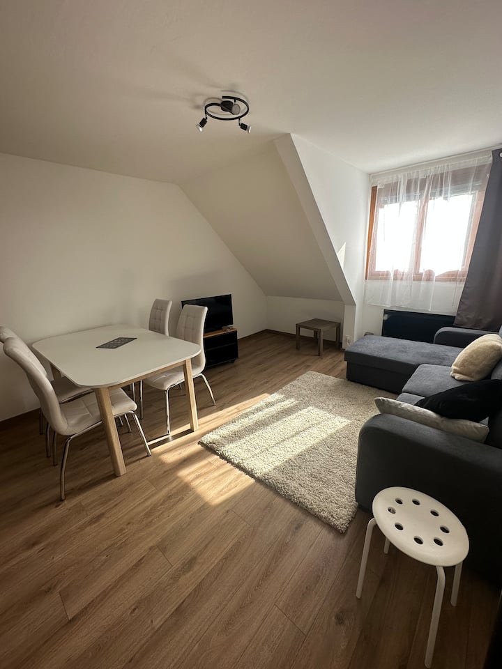 Studio Cabine Chaleureux - Corrençon-en-Vercors