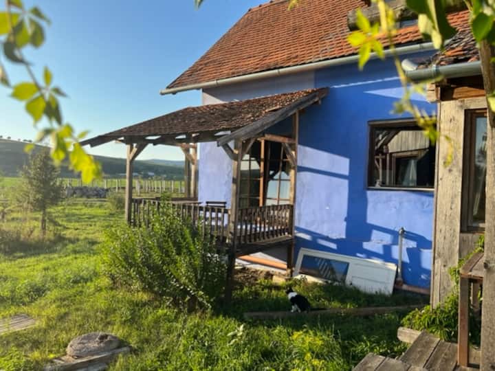 Ferma Indianului Transilvanien-zimmer Cal (Pferd) - Homorod
