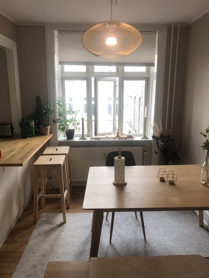 Central Apartment In Copenhagen - Copenhague