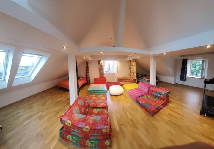 Loft Dans Combles - Colmar