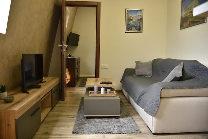 Belgrade Center Penthouse Duplex - Belgrad