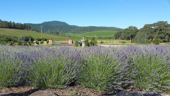 Thorn Hill Vineyards Villa Suites - Clearlake, CA