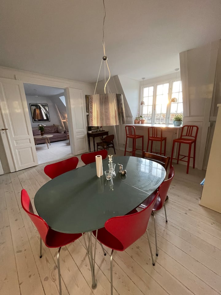 Rummelig  Lejlighed M. Flot Udsigt Over Byen - Copenhaguen