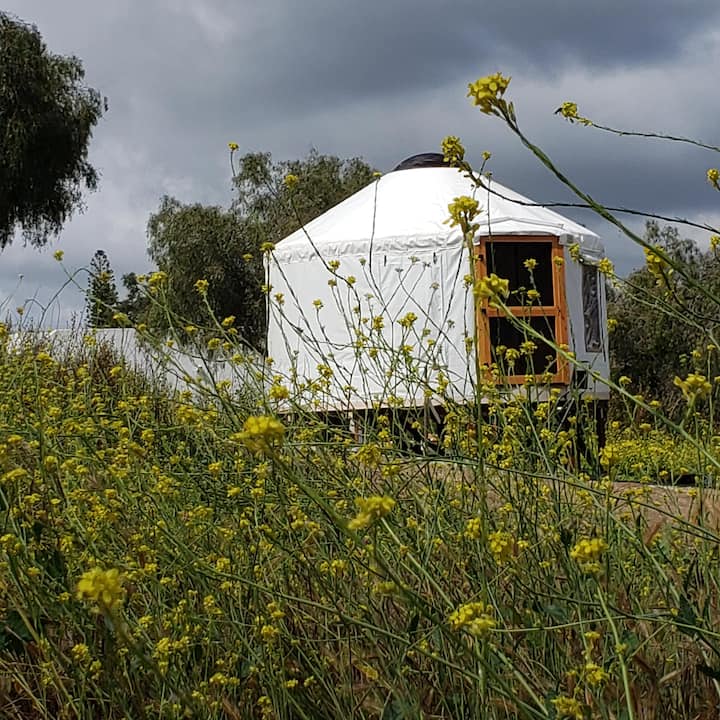 Temecula/fallbrook Yurt - Fallbrook, CA