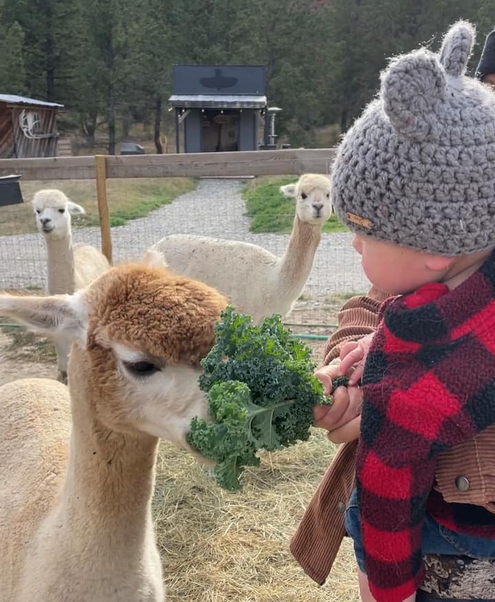 Sheringham Acres & Alpacas - Kootenay River