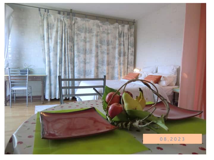 Studio Centre, Vue Panoramique. - Cholet