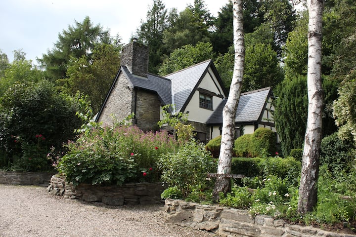 Llethrau Forest Retreat - Kerry