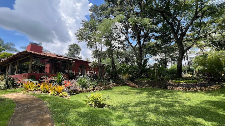 Flor Do Reino - Casa | Da | Mata - Confins