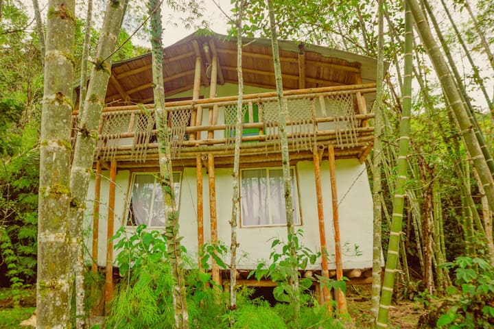 Ecos De Bambú - Reserva Zafra - San Carlos, Colombia