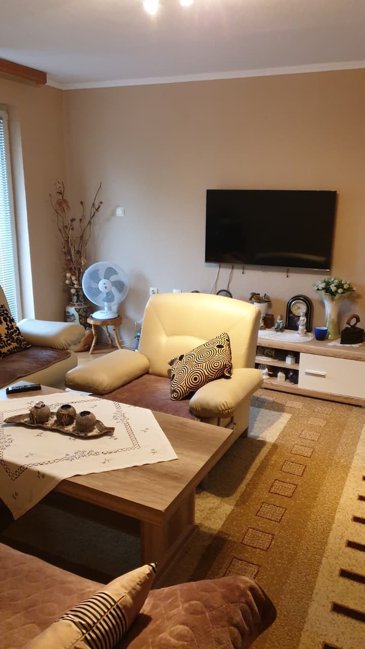 Quiet Oasis In The City Centre - サラエボ