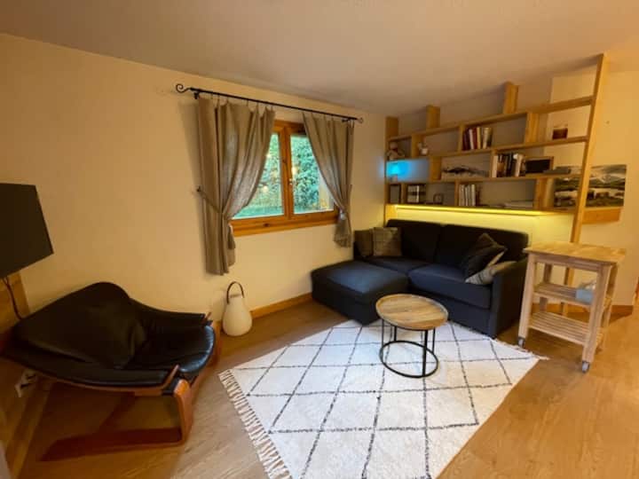 Type : Appartement Station Pied Des Pistes - Areches Beaufort