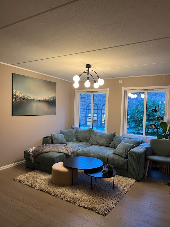 Sentral Og Koselig Leilighet - Oslo