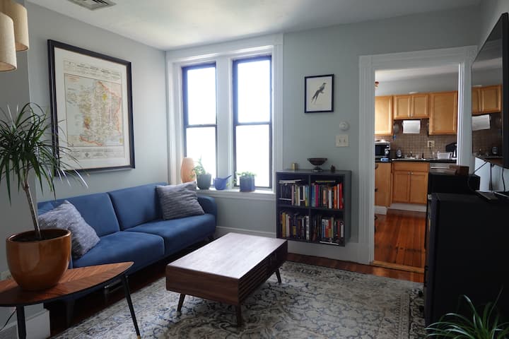 Cozy Full Condo / Walkable To T - Boston, MA