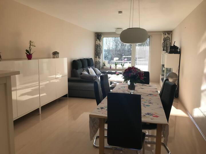 3 Zimmer Wohnung In Fallersleben - Wolfsbourg