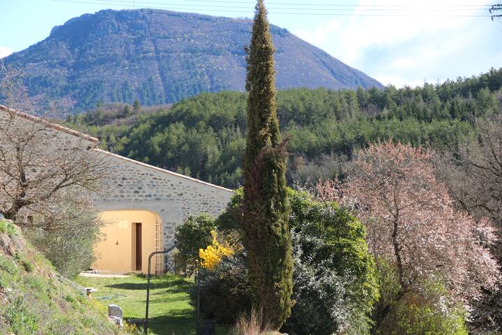 Gîte Du Cèdre - Sisteron