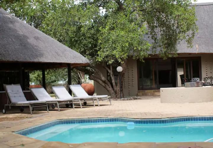 Zebula - Moonlit Sky (Pax 10) - Bela-Bela