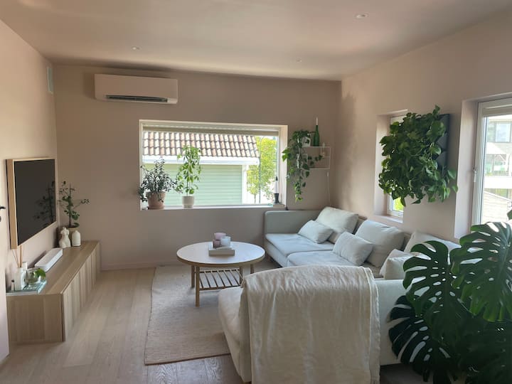 Welcome To My Jungle - Stavanger